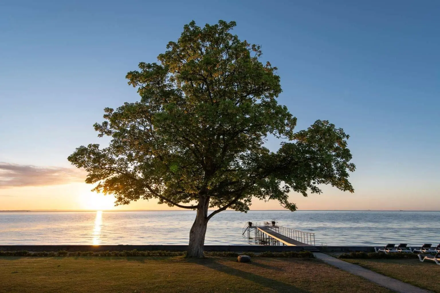 Grøn rejse - Kurhotel Skodsborg